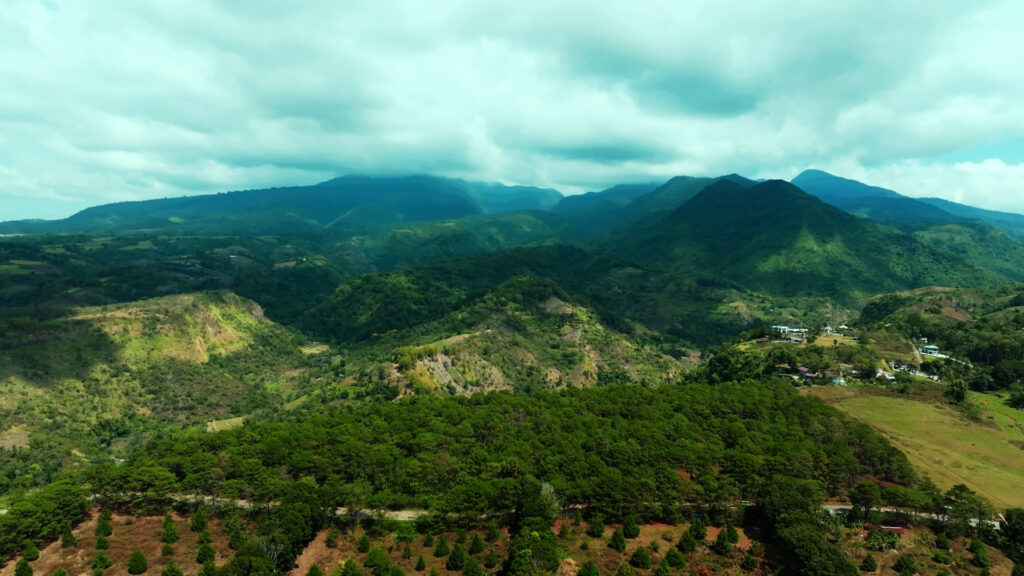 Homepage - Island Living Channel